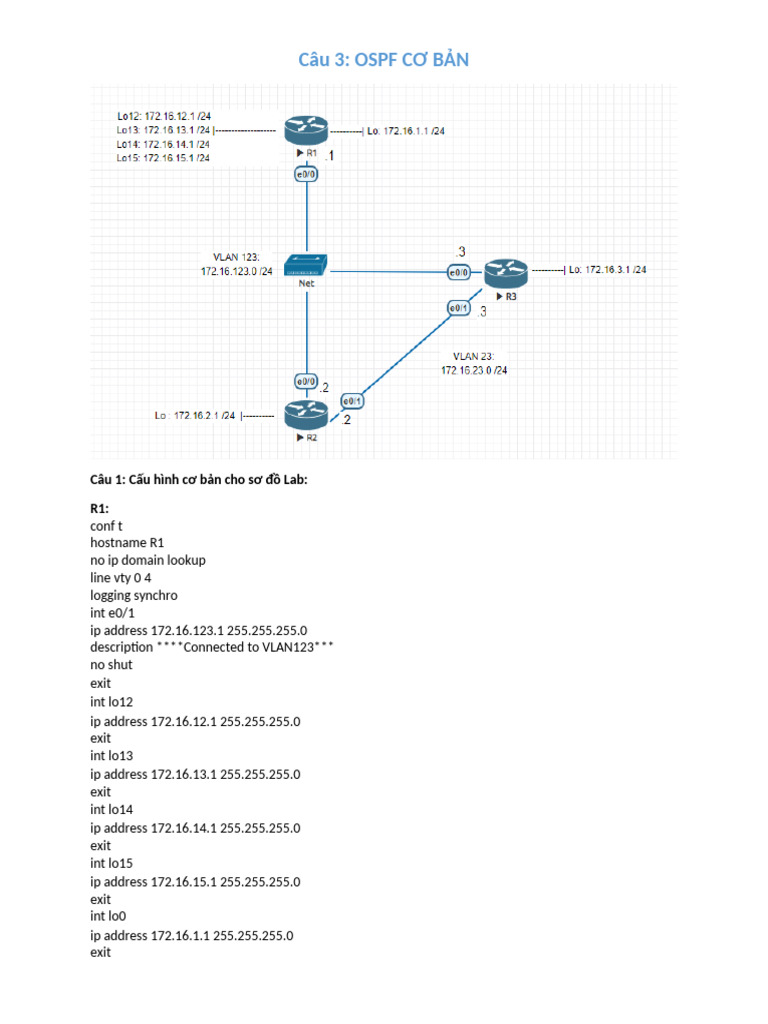 Ccnp - Câu 3 Ospf Cơ Bản | PDF