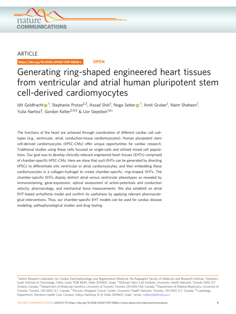 Generating Ring-Shaped Engineered Heart Tissues From Ventricular and ...