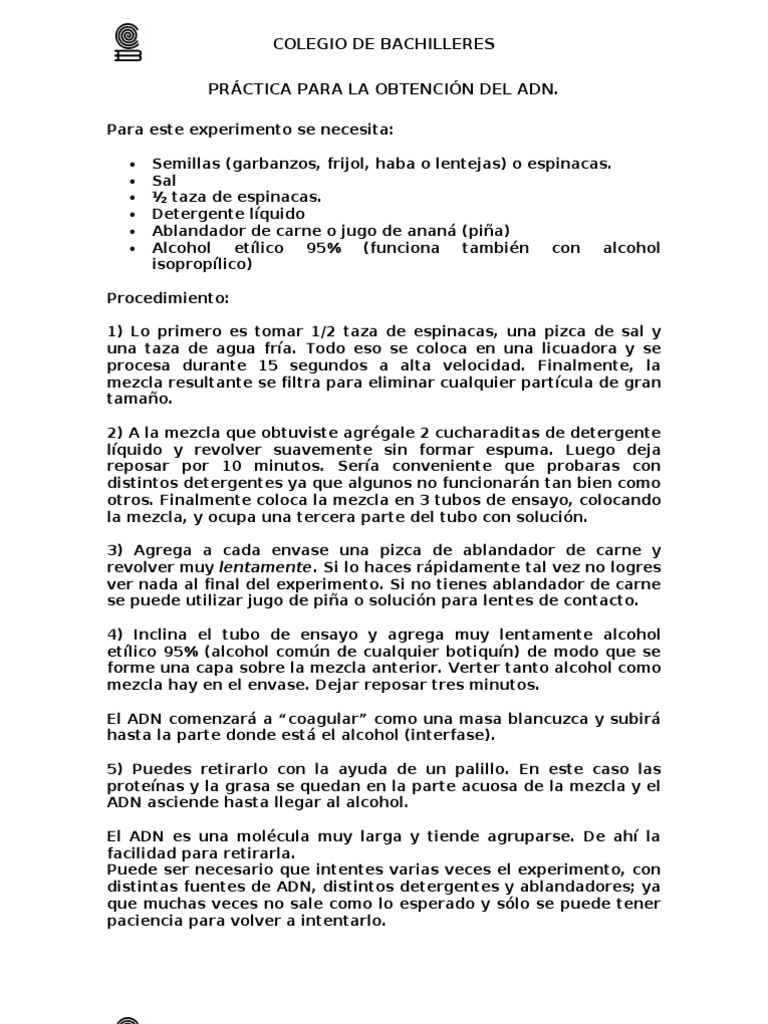 PrÁctica para La ObtenciÓn Del Adn | PDF | Adn | Detergente