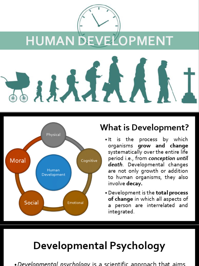 Lesson 3 - Human Development | PDF | Attachment Theory | Developmental ...