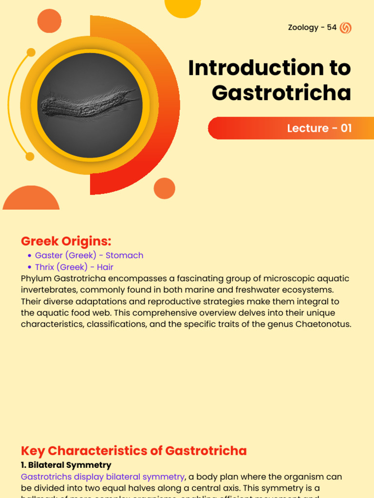 Introduction To Gastrotricha | PDF | Habitat