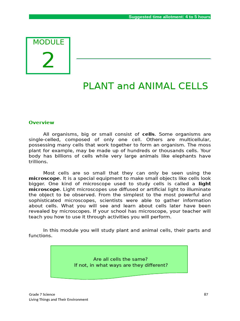 Plant and Animal Cells Overview | PDF | Cell (Biology) | Vacuole