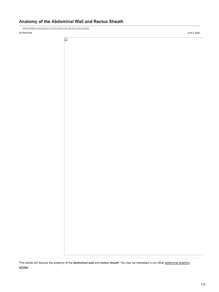 Anatomy of The Abdominal Wall and Rectus Sheath | PDF | Abdomen ...