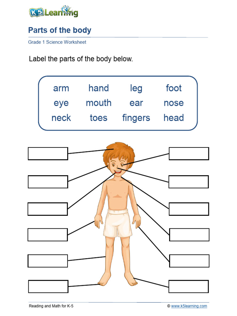 Grade 1 Parts Body A | PDF | Career & Growth | Wellness