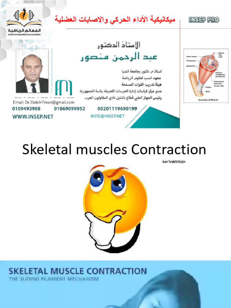 Muscle Injuries | PDF