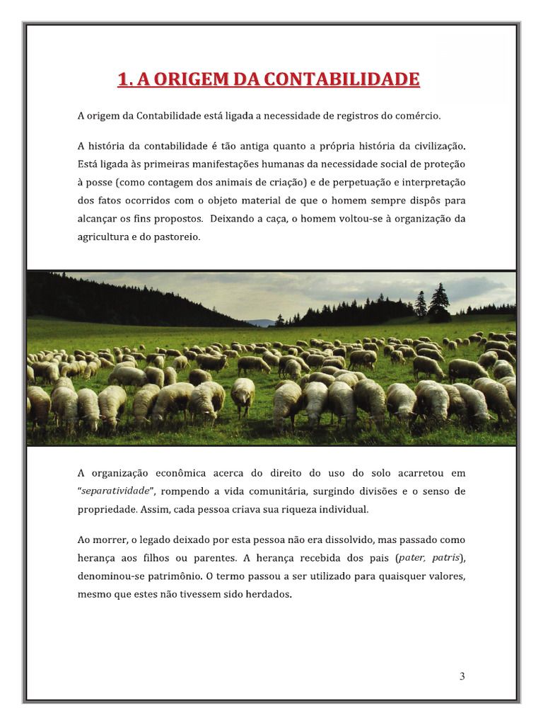 Apostila Contabilidade Básica | PDF