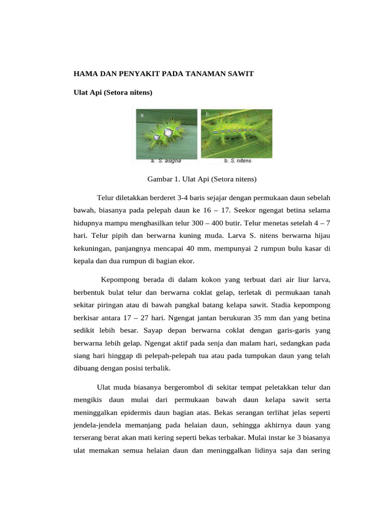Hama Dan Penyakit Pada Tanaman Sawit-1 | PDF