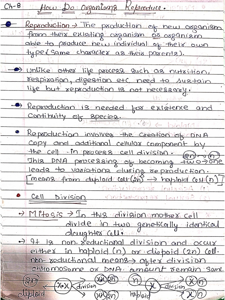 Biology Ch-How Do Organism Reproduce | PDF