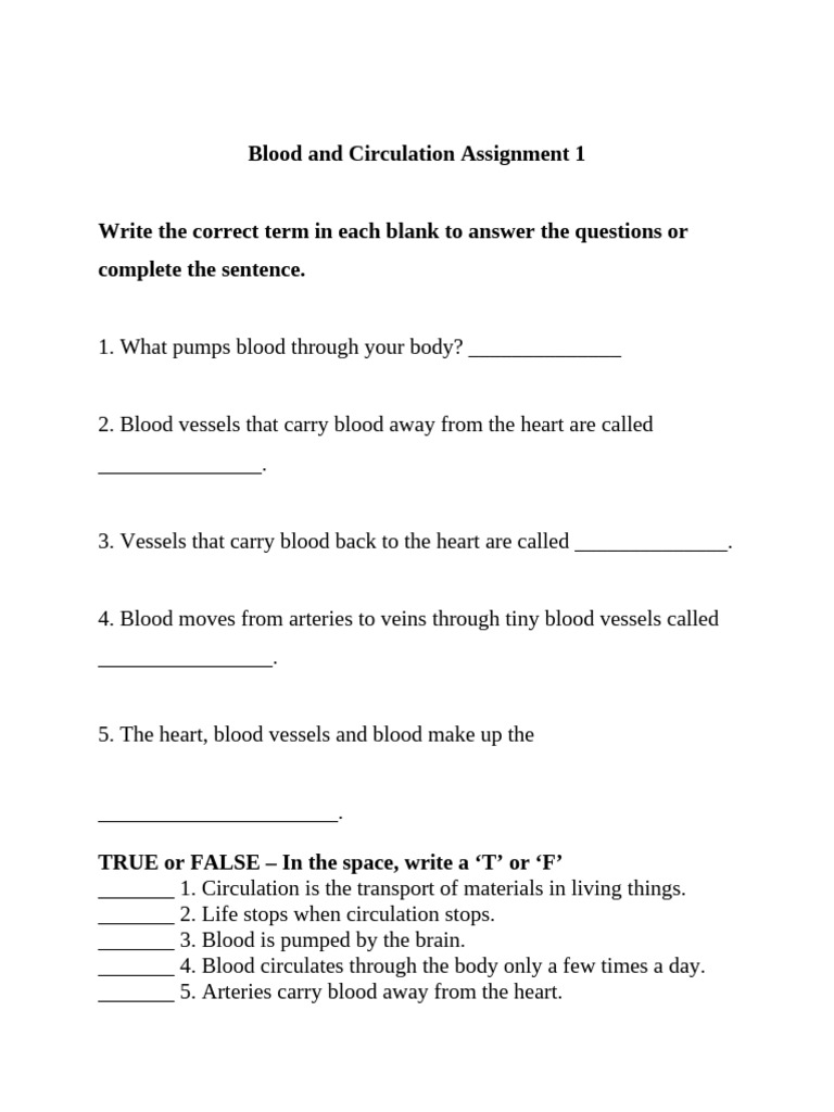 Circulation Assignment 1 | PDF