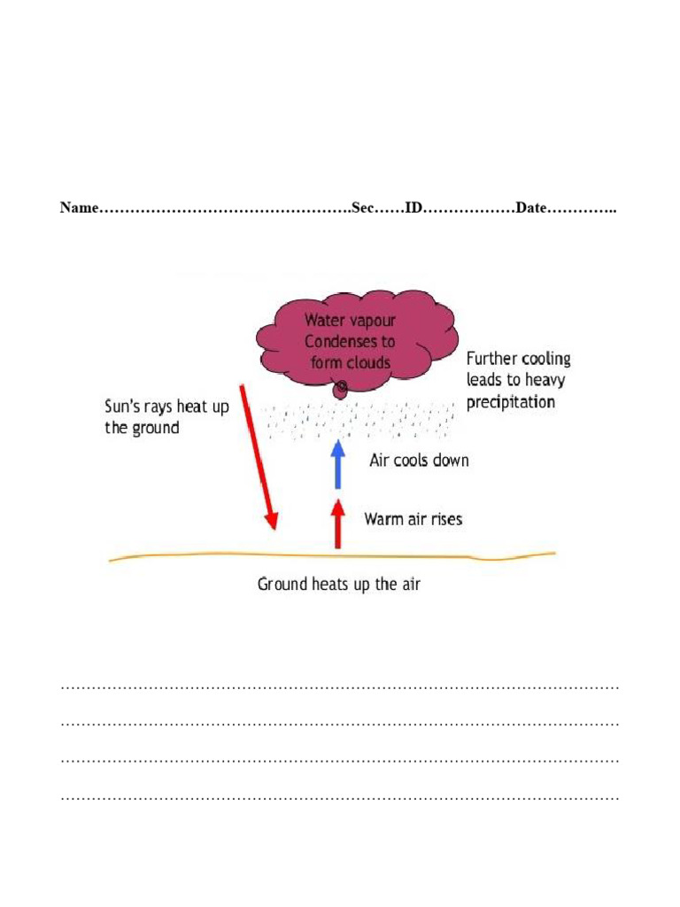 P-2 - T-2 Worksheet 3 BDS P2 | PDF