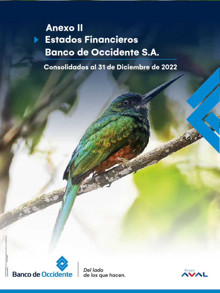 Dic 22 Cons Eeff Bocc | PDF | Auditoría | Contabilidad