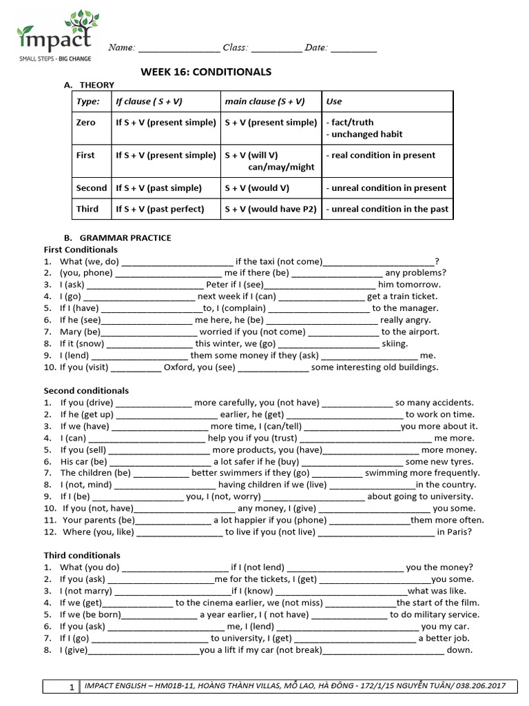 Conditional Sentences Grammar Guide | PDF