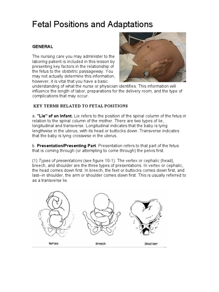 Fetal Positions and Adaptations | PDF | Pelvis | Childbirth