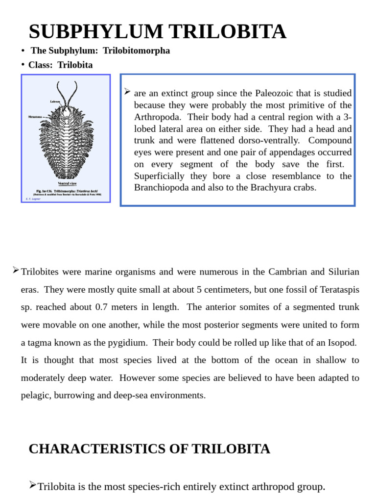 Characteristics of Trilobites | PDF