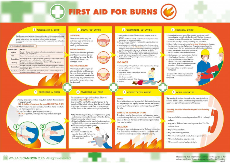 First Aid For Burns | PDF