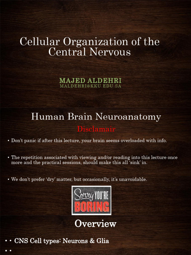 2 4- cellular organization of the central nervous system | PDF | Neuron | Nervous System