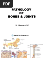 Torbay Cuff Protocol | PDF | Anatomical Terms Of Motion | Shoulder