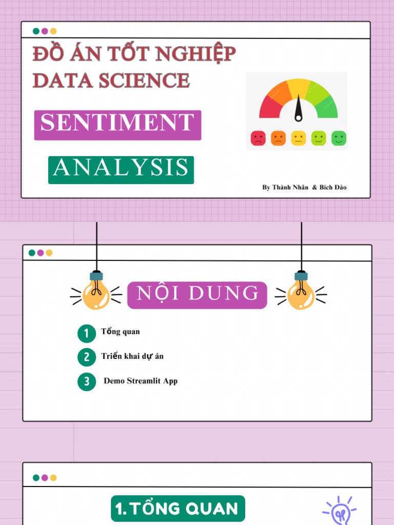 Silde - Sentiment Analysis - DADS - Final | PDF