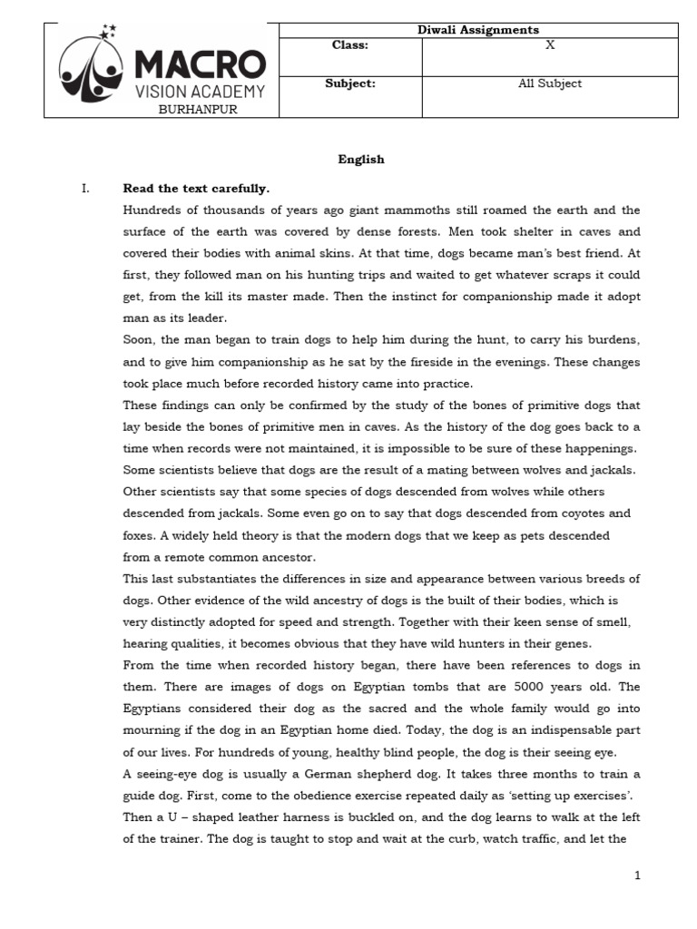 Diwali Assignments 2024-25 (X) | PDF | Dogs | Water