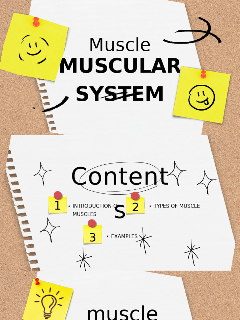Ansci Report Revamped | PDF | Muscle | Histology