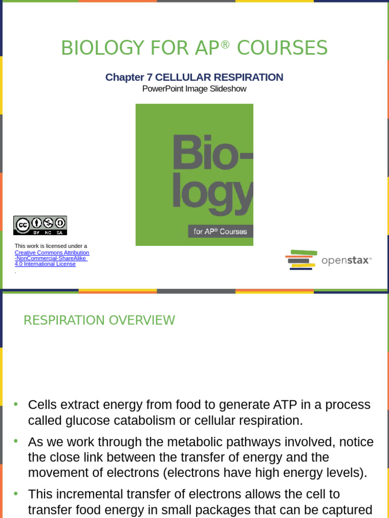Openstax Ap Biology ch07 | PDF | Adenosine Triphosphate | Cellular ...