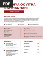 Emirates Cabin Crew CV Sample | PDF