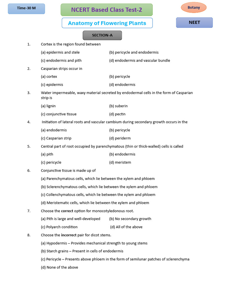 Anatomy of Flowering Plants Class Test-2 | PDF | Leaf | Plant Stem