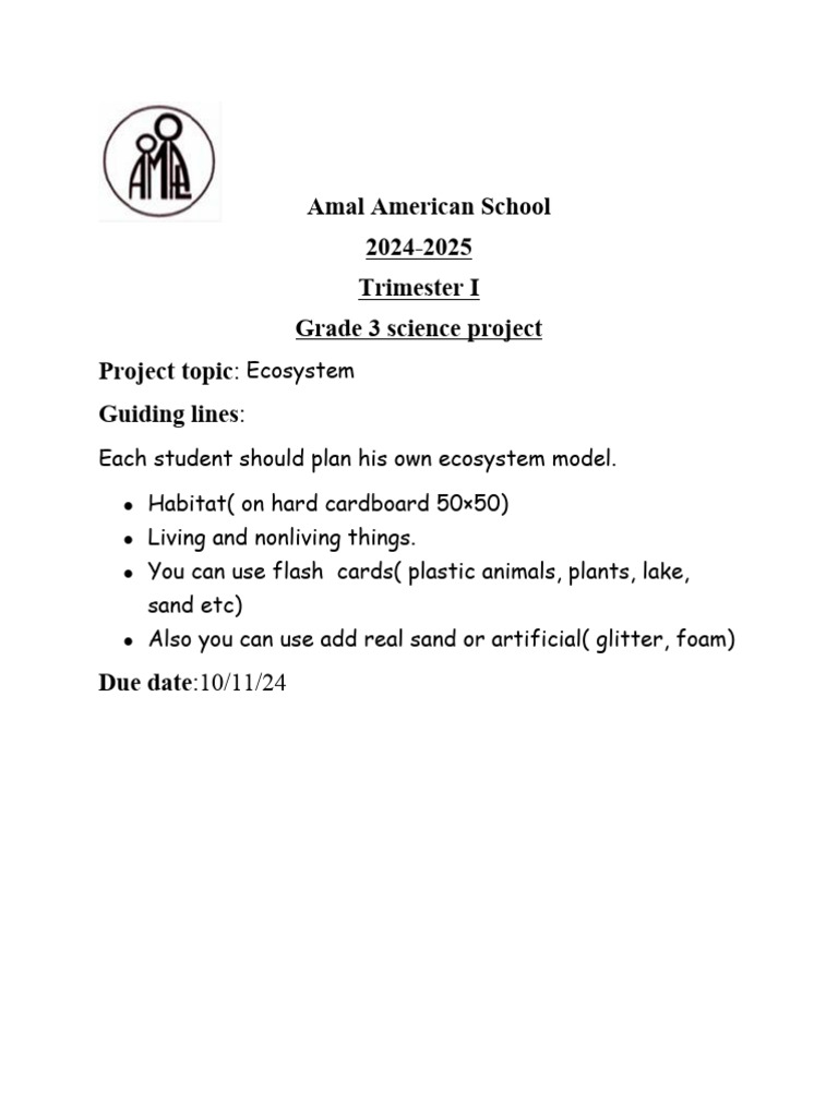 Grade 3 Project | PDF