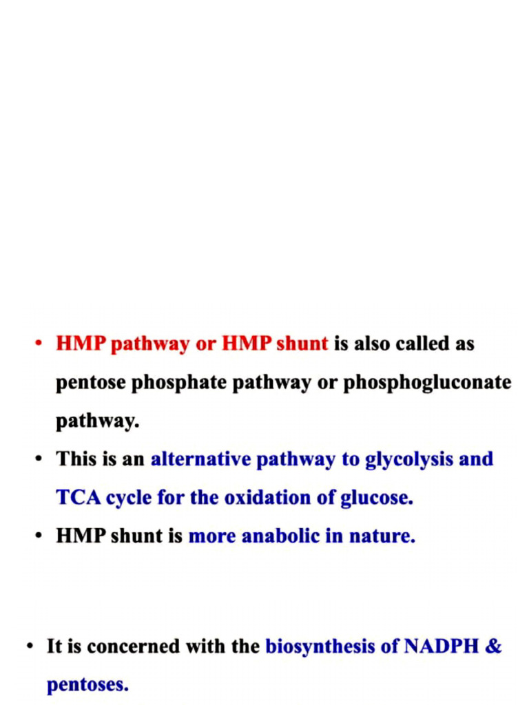 Regulation of Pentose P pathway(Metabolism) | PDF