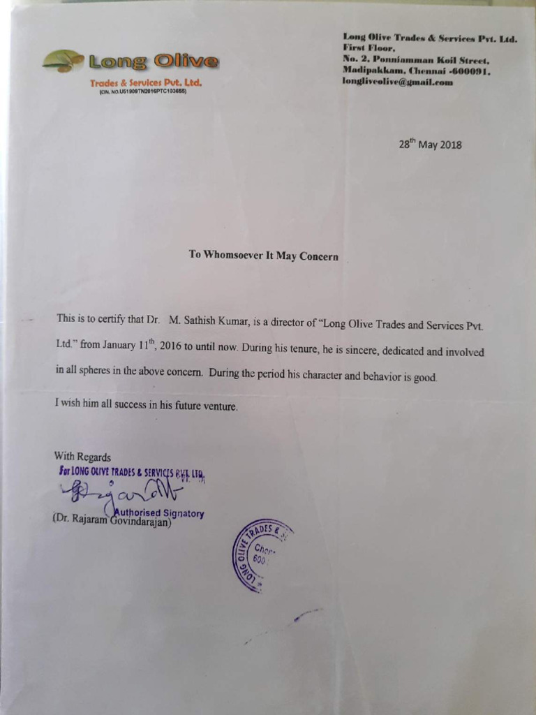 long olive experience letter-compressed | PDF