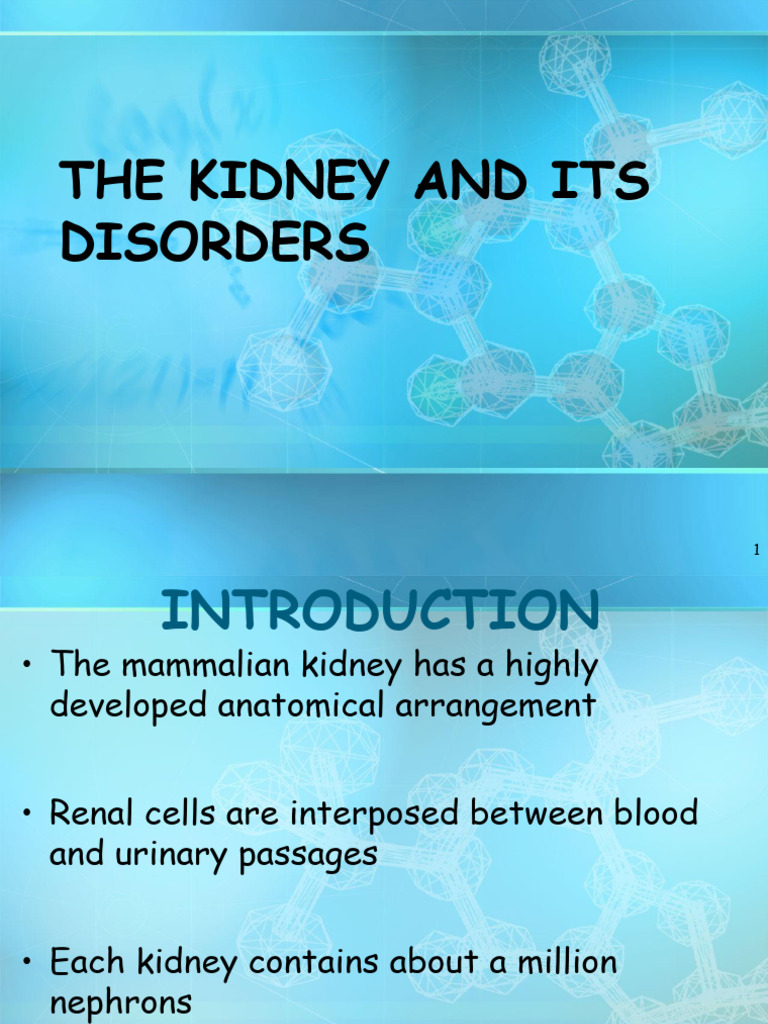 Kidney and Its Disorders | PDF | Kidney | Creatinine