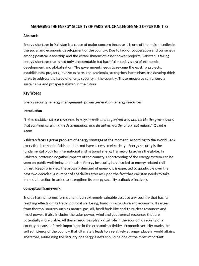 ENERGY INSECURITY | PDF | Energy Security | Natural Gas