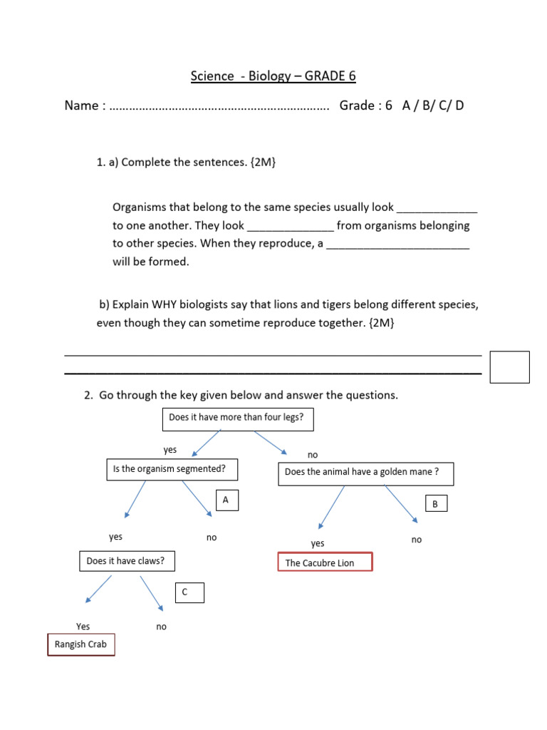 Biology Exam - Grade 6 - Final Exam | PDF | Cell (Biology) | Foods