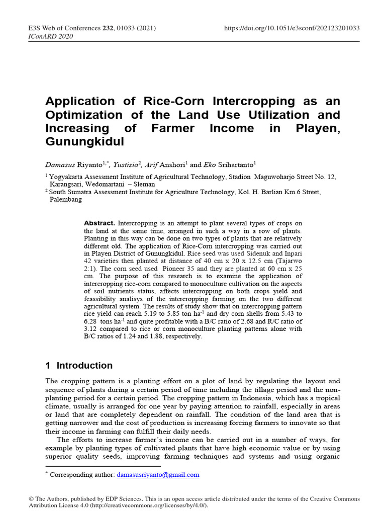 Application of Rice-Corn Intercropping As An Optim | PDF | Agriculture ...