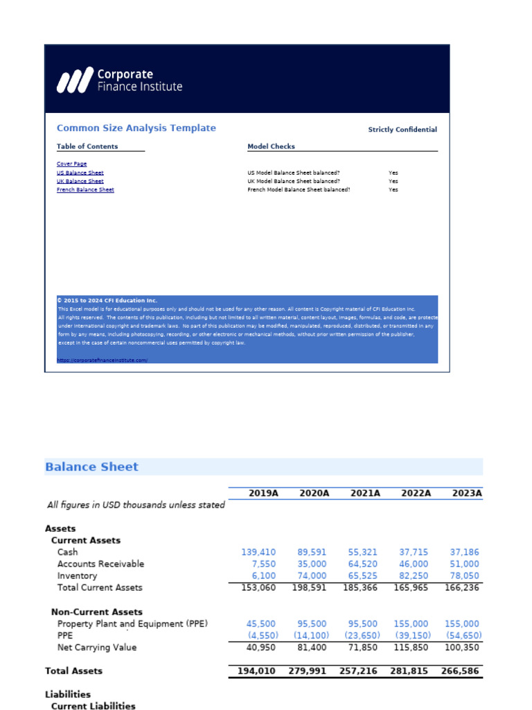 Different Balance Sheet Layouts | PDF | Equity (Finance) | Balance Sheet