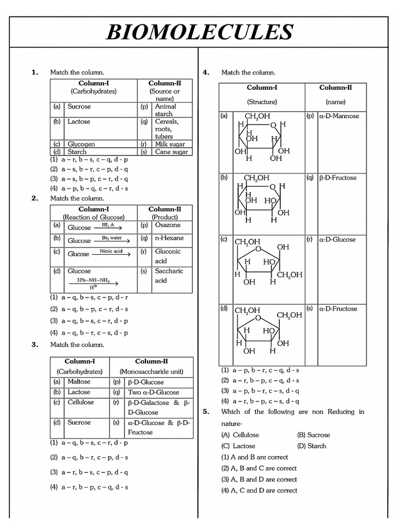 Assertion Reasoning DPP Biomolecules | PDF