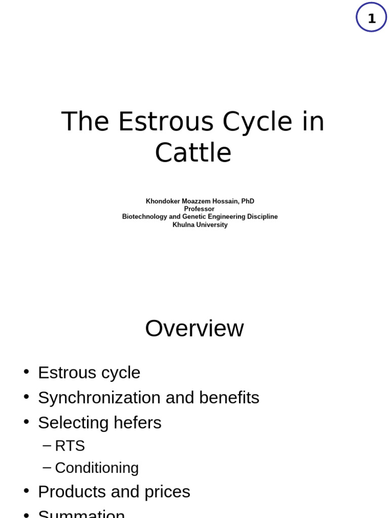Chap 8 The Estrus Cycle in Cattle | PDF | Luteinizing Hormone ...