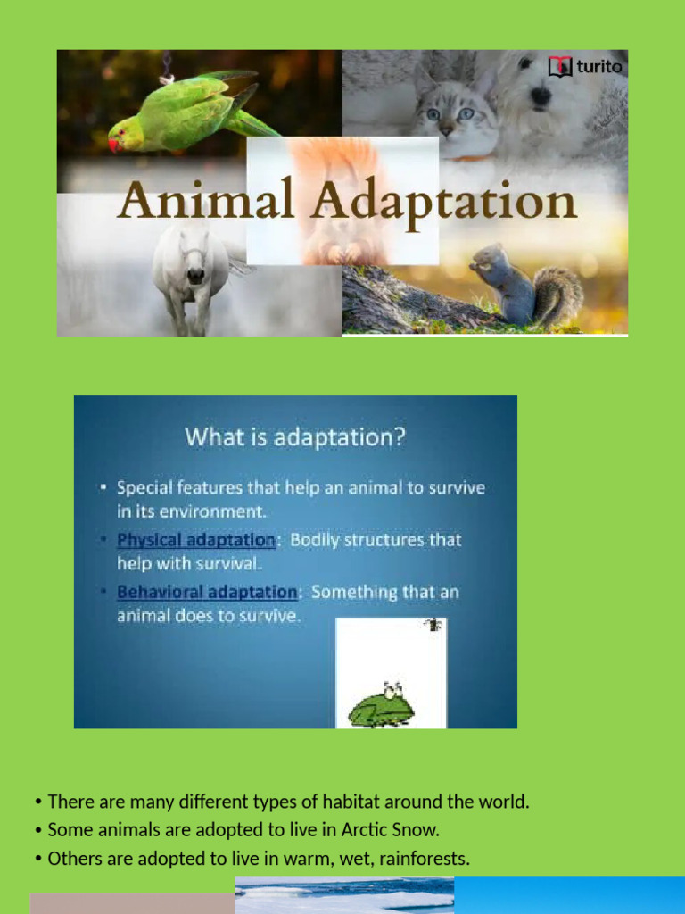 Animal-adaptation | PDF