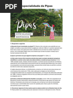Tipos de Pipas e Seus Nomes | PDF | Pipa | Hobbies