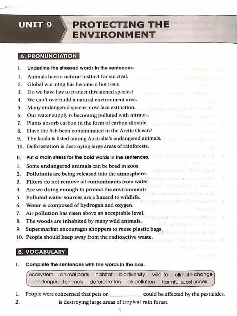 E10 U9 Revision | PDF