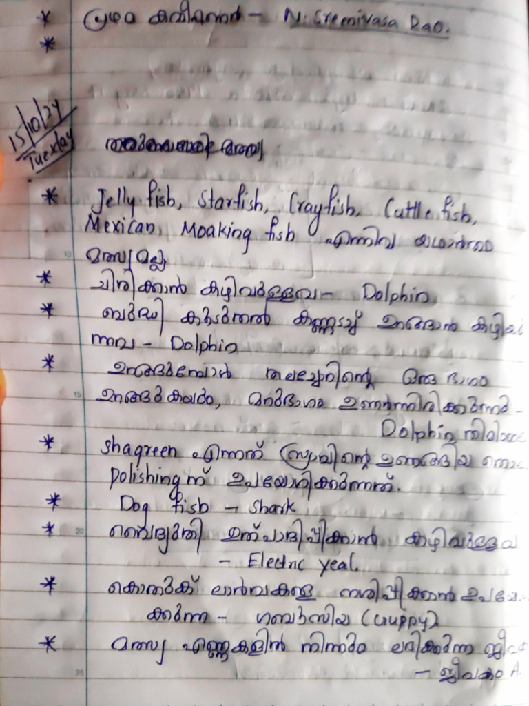 PDF Absent Day | PDF