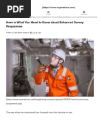 Ship's Stores Declaration (IMO FAL 3) | PDF