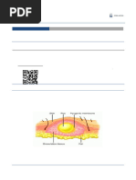 Abscesses and Deep-Seated Wound Infections | PDF | Infection ...
