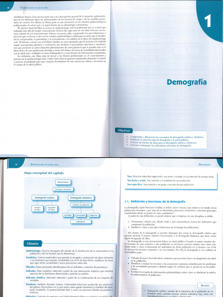 Tema 1 DEMOGRAFÍA Libro | PDF