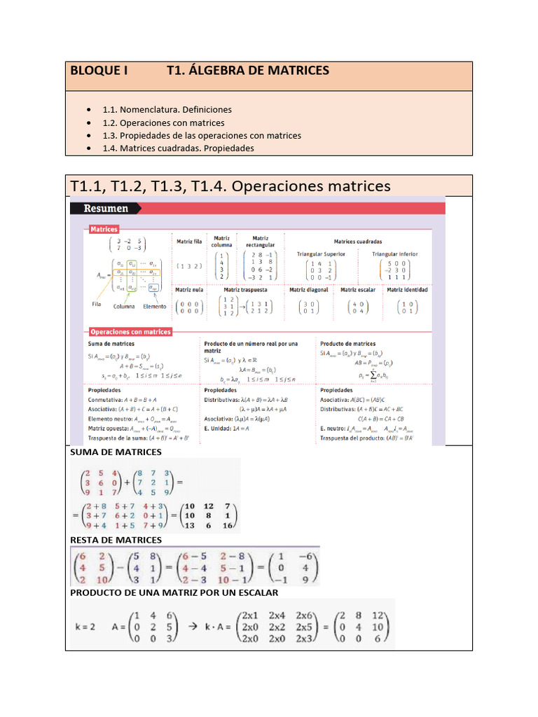 24 - 25 - Bloque I.-T1.1. Matrices | PDF