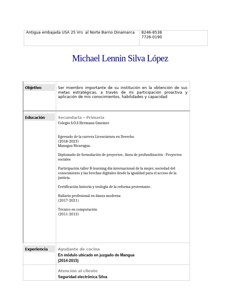 CV MICHAEL | PDF