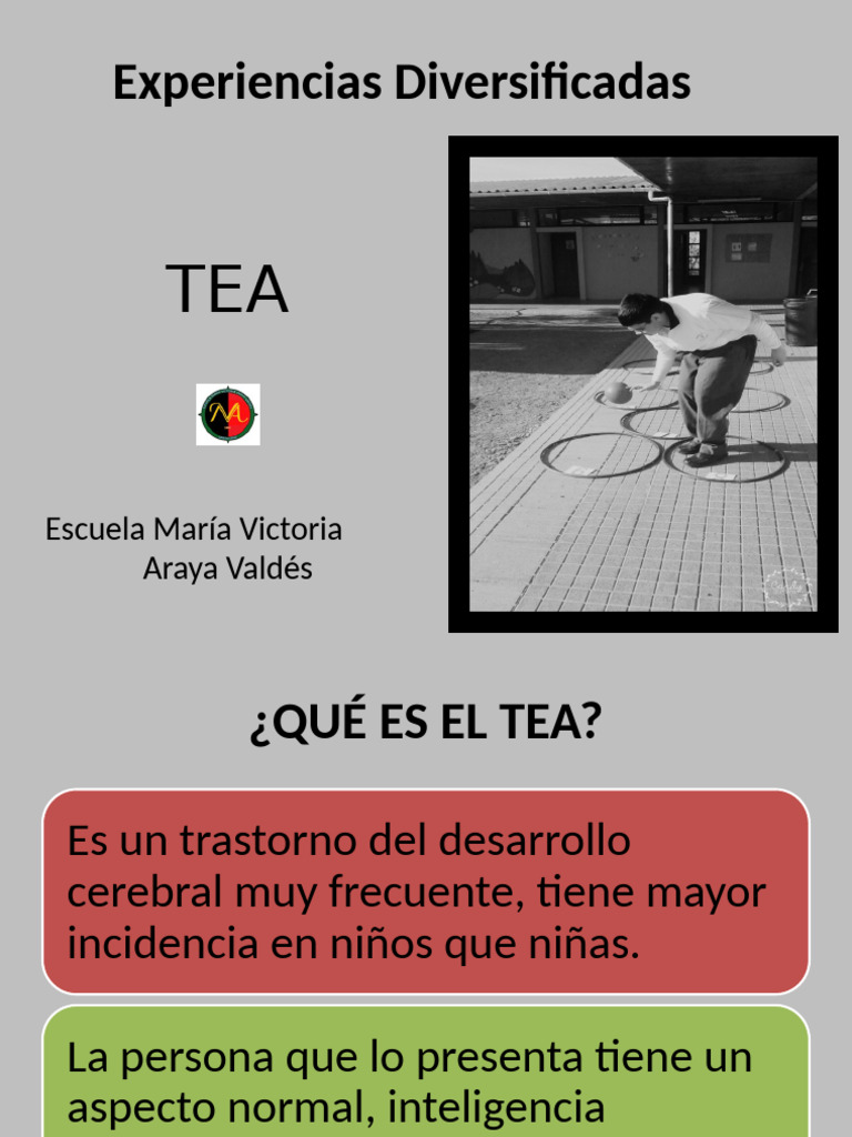 Experiencias Diversificadas: Escuela María Victoria Araya Valdés | PDF ...