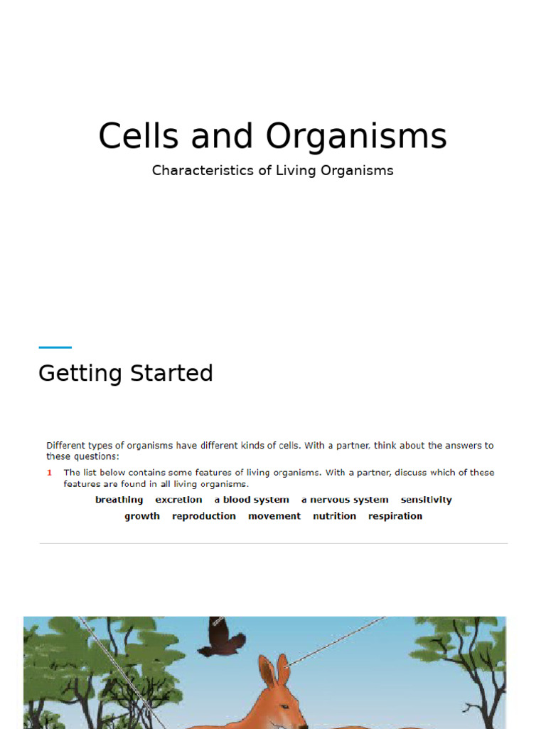 IGCSE Year 1 - Cells and Organisms | PDF | Cell (Biology) | Vacuole