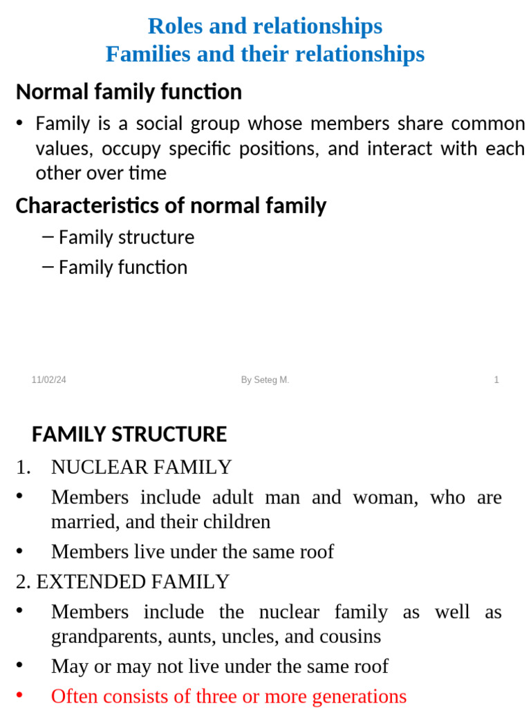 Role & Relationships | PDF | Family | Parent