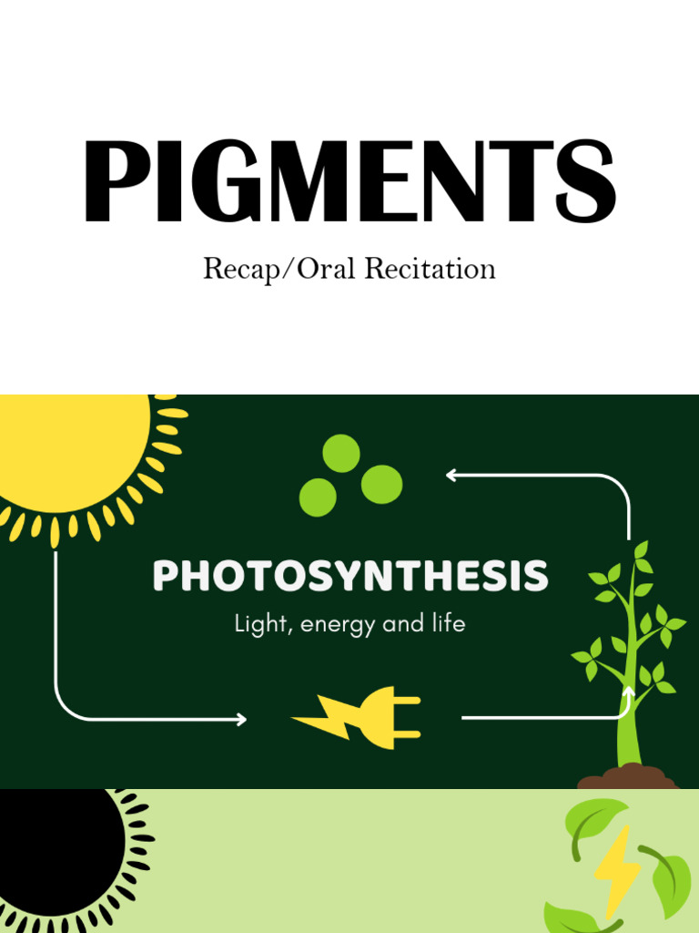 Q2 Lesson 4 Light-Dependent Reaction | PDF | Photosynthesis | Biochemistry